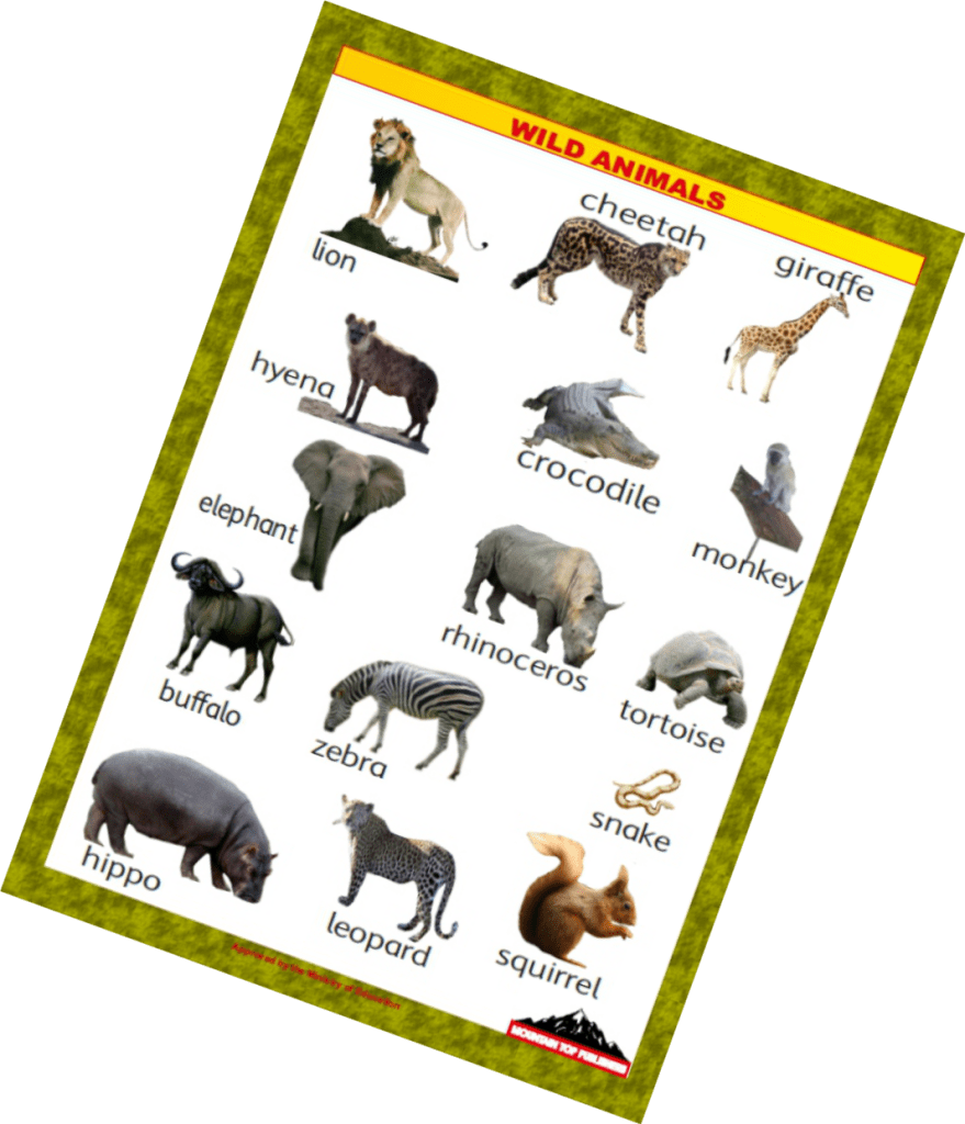 Wild animal chart - Mountain Top Educational Publishers